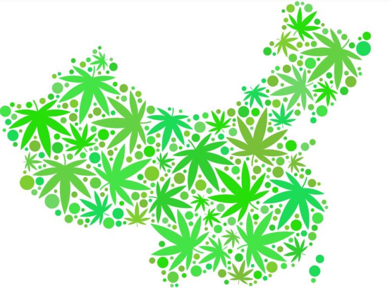 The Benefits of Using a Cannabis Specialist for Sourcing in China ...